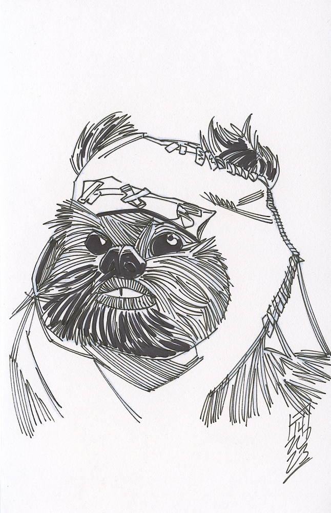 Wicket W. Warrick | Star Wars - Signed ORIGINAL Drawing by Tom Hodges ...