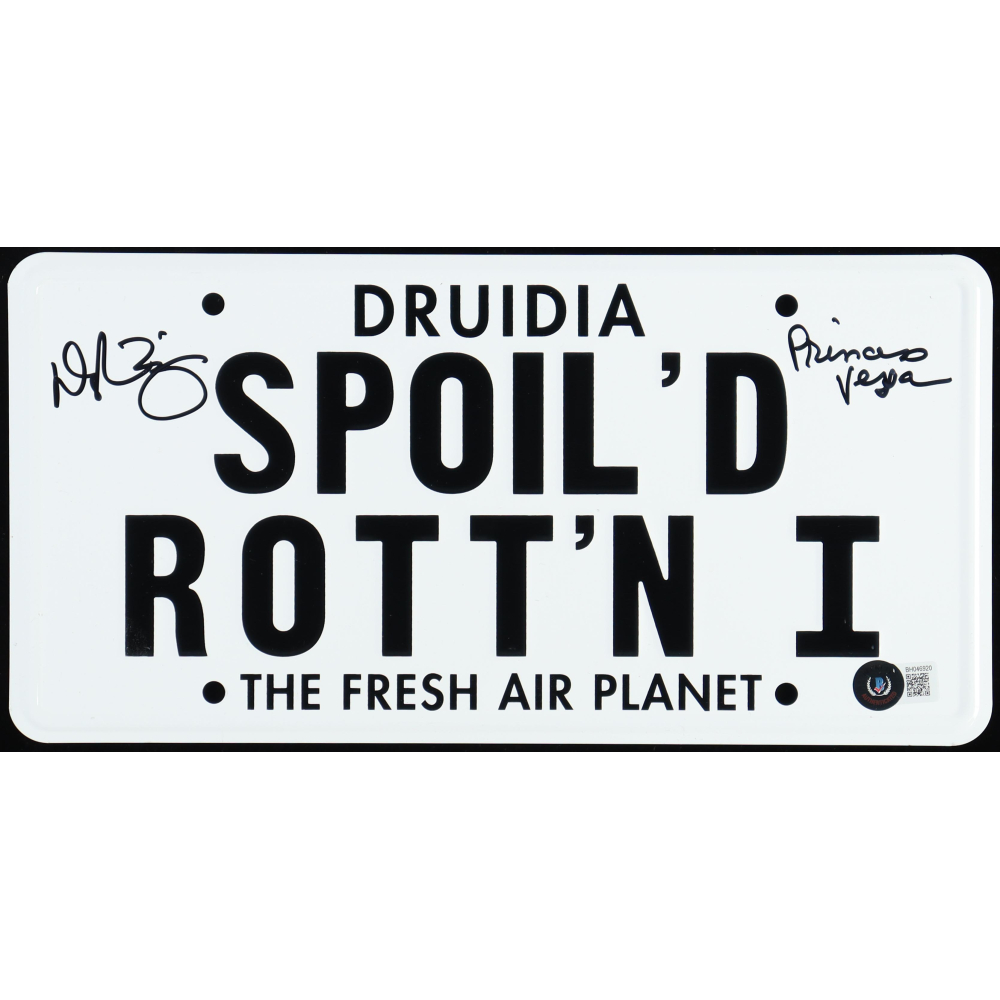 Daphne Zuniga Signed "Spaceballs" Replica License Plate Inscribed ...