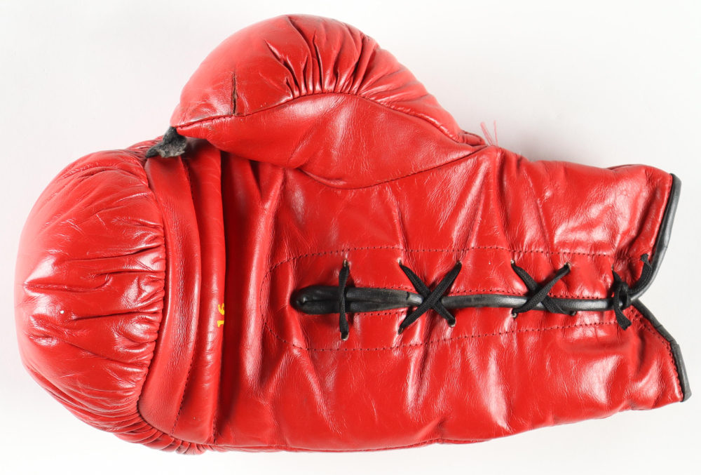 Mike Tyson Signed Everlast Vintage Compaq Fight Sponsorship Special ...