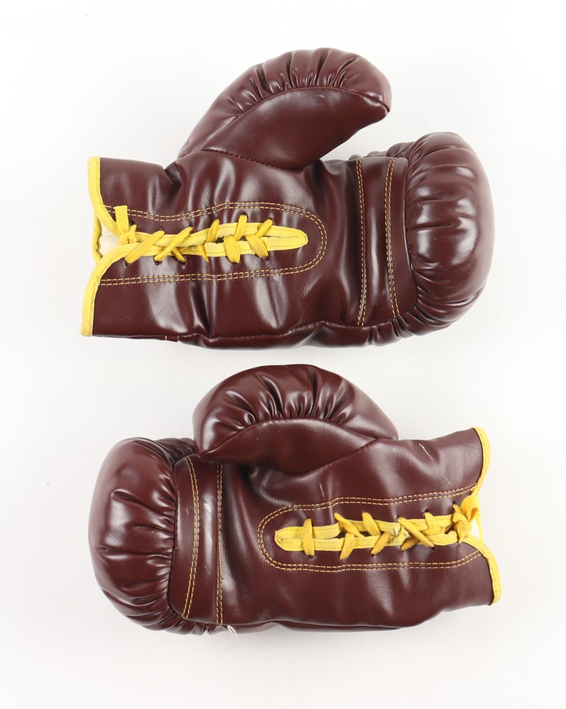 Mike Tyson Signed Vintage Wilson Boxing Glove Set With Acrylic Display ...