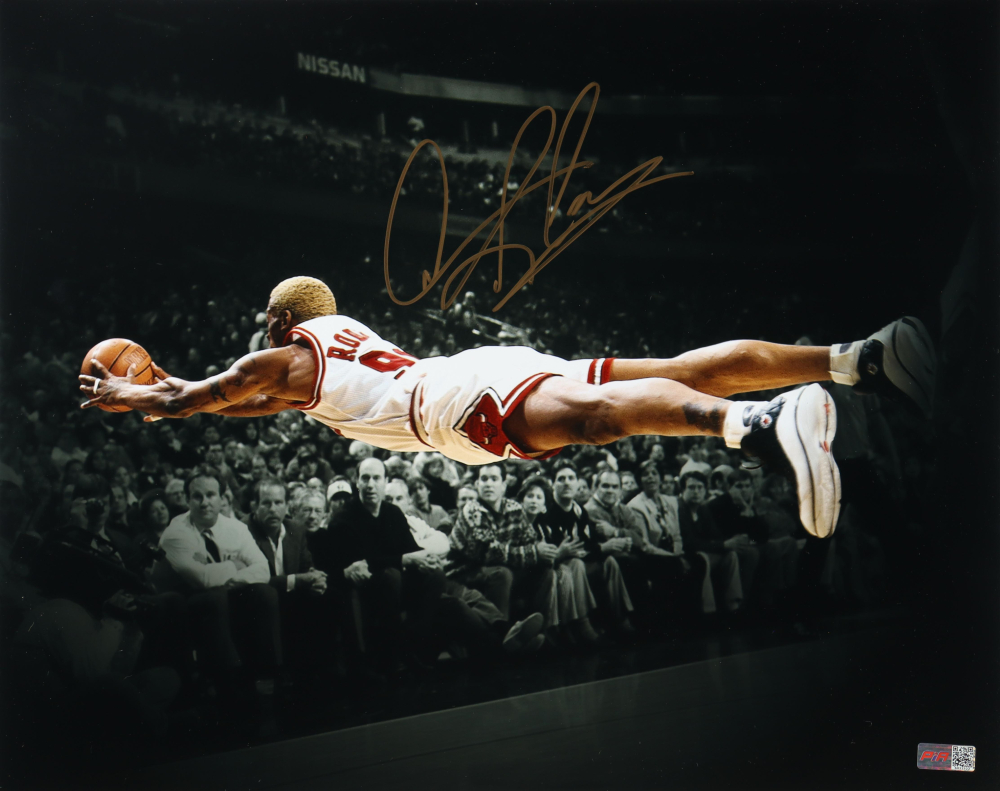 Dennis Rodman Signed Bulls 16x20 Photo (PIA) | Pristine Auction