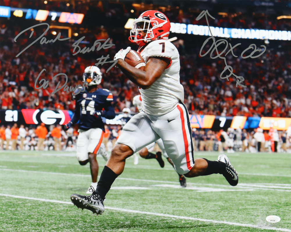 D'Andre Swift Signed Georgia Bulldogs 16x20 Photo Inscribed "Go Dawgs ...