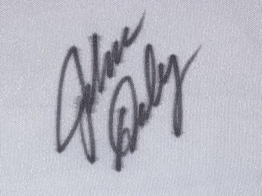 John Daly Signed Daly Logo Custom Framed Golf Flag (JSA) | Pristine Auction