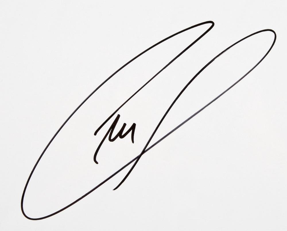 Christian Pulisic Signed Team USA 14x28 Photo (Panini) | Pristine Auction