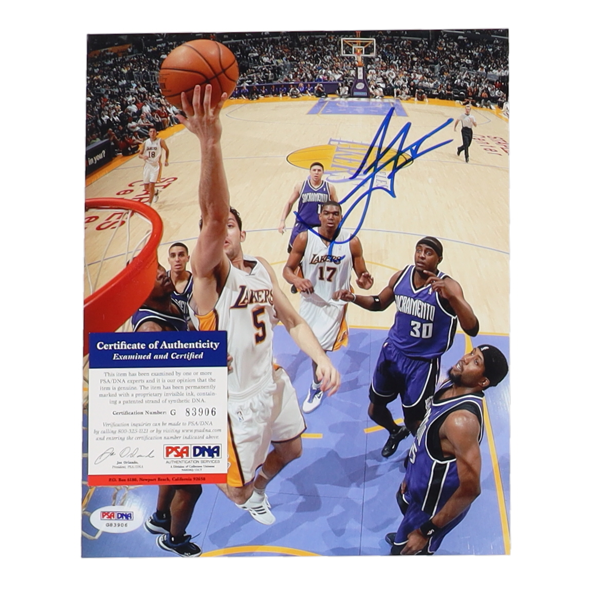 Jordan Farmar Signed Lakers 8x10 Photo (PSA) | Pristine Auction
