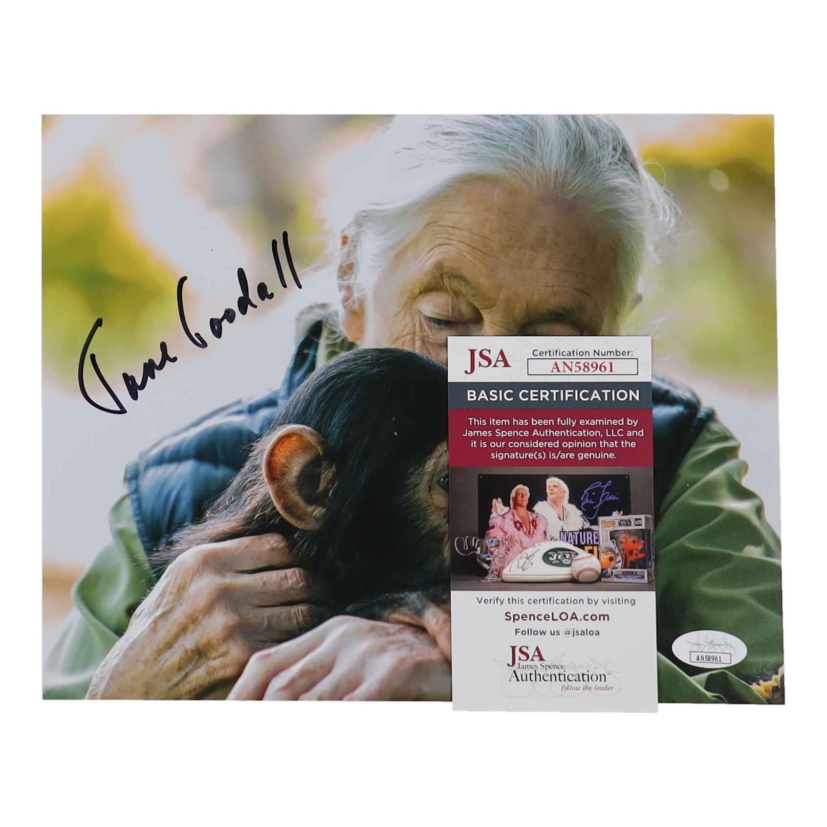Jane Goodall Signed 8x10 Photo (JSA) | Pristine Auction