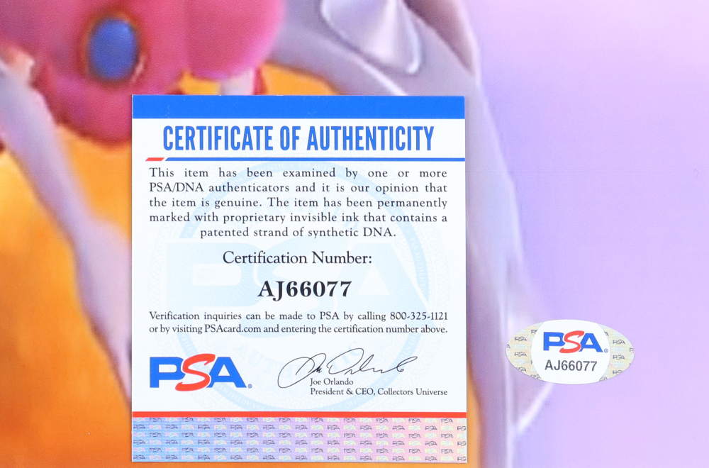 Kenny James & Samantha Kelly Signed "Super Mario" 16x20 Photo with ...