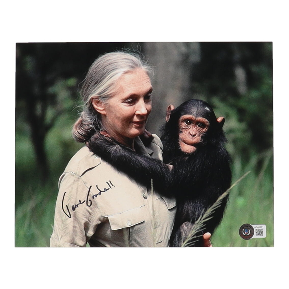 Jane Goodall Signed 8x10 Photo (Beckett) | Pristine Auction