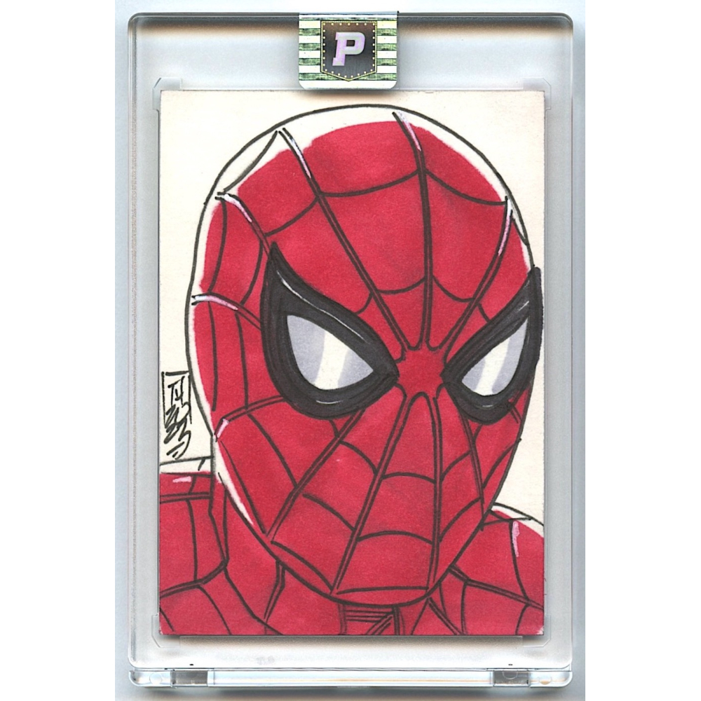 Spider-Man | Marvel Comics | Original Art Sketch Card by Tom Hodges (1/ ...