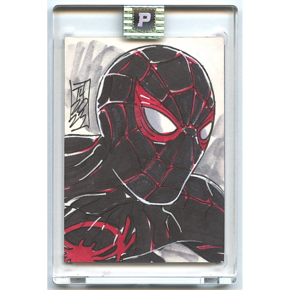 Miles Morales | Spider-Man | Marvel Comics | Original Art Sketch Card ...