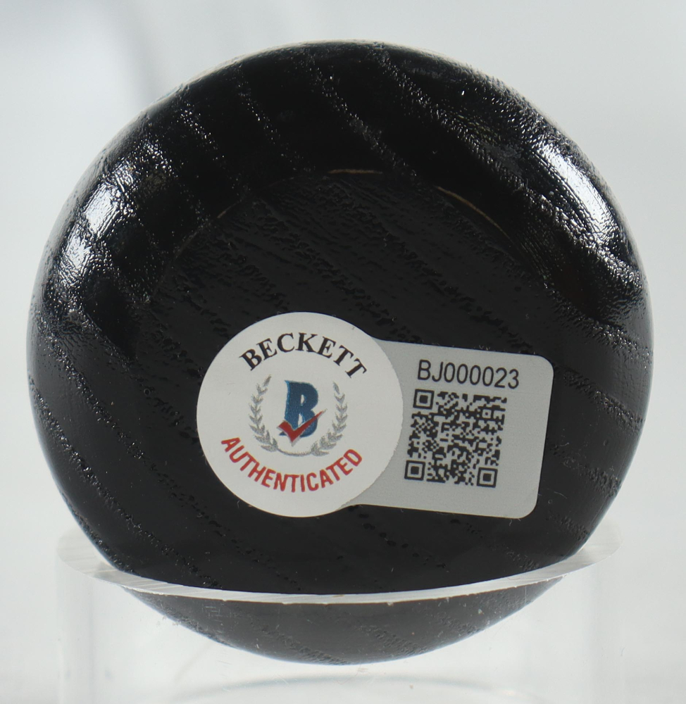 Pat Hughes Signed Rawlings Adirondack Big Stick Player Model Baseball ...