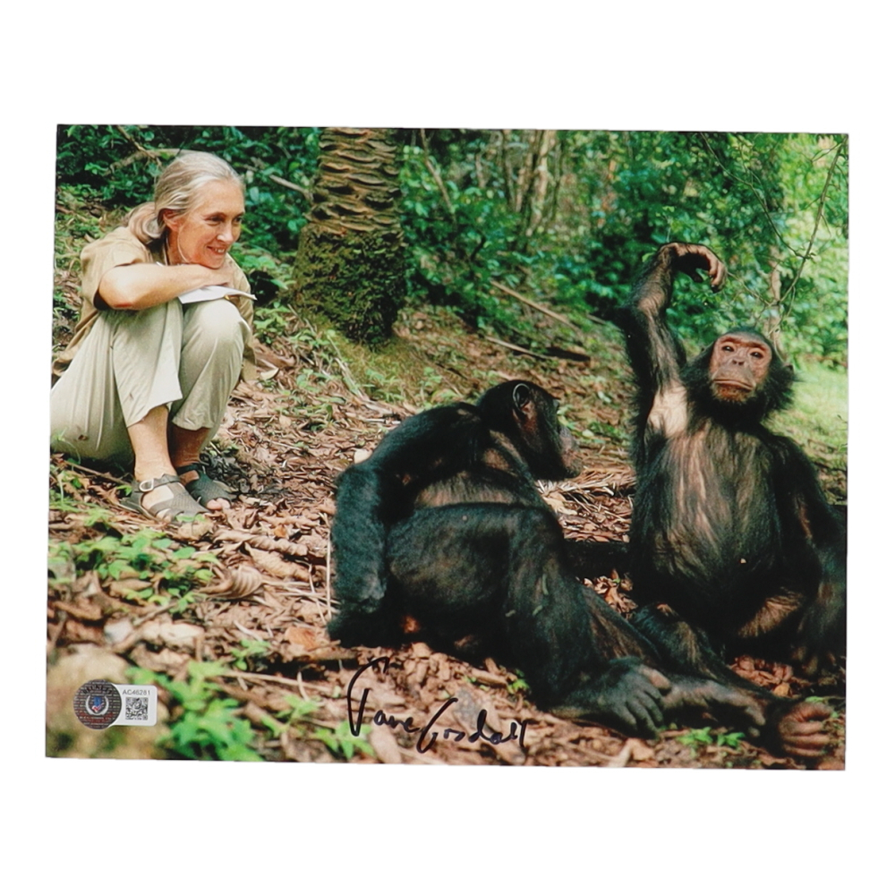 Jane Goodall Signed 8x10 Photo (Beckett) | Pristine Auction