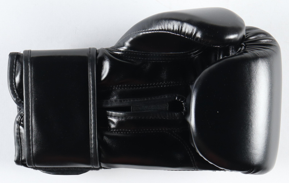 Mike Tyson Signed Hennessy Fight Sponsor Only Black Boxing Glove In ...