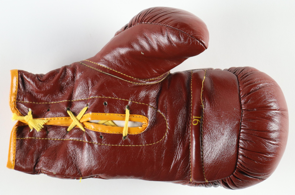 Mike Tyson Signed Everlast Burgundy Boxing Glove In Photo Back Display ...