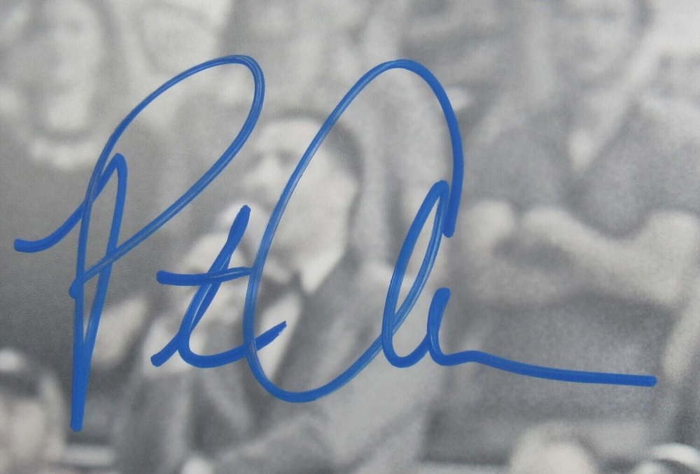 Pete Alonso Signed Mets 16x20 Photo (Fanatics) | Pristine Auction