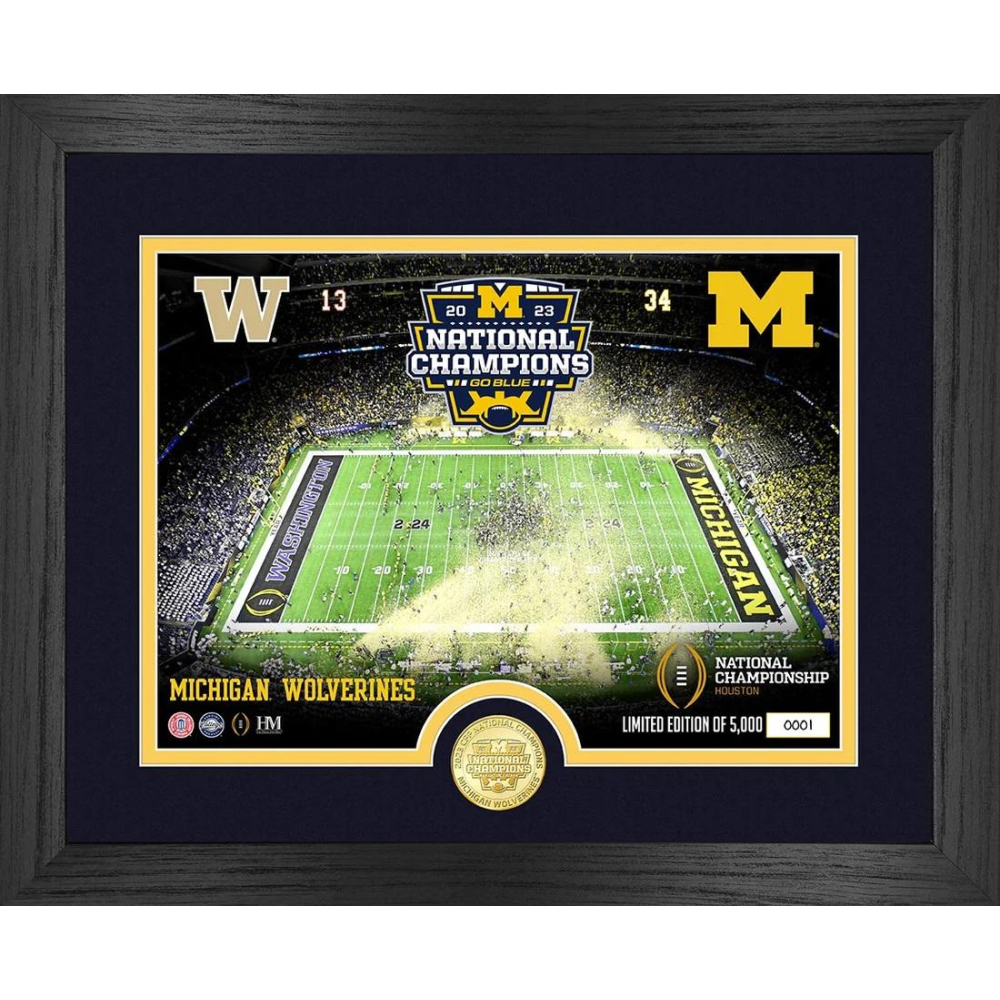 Michigan Wolverines LE Custom Framed 2023-24 National Champions Photo ...