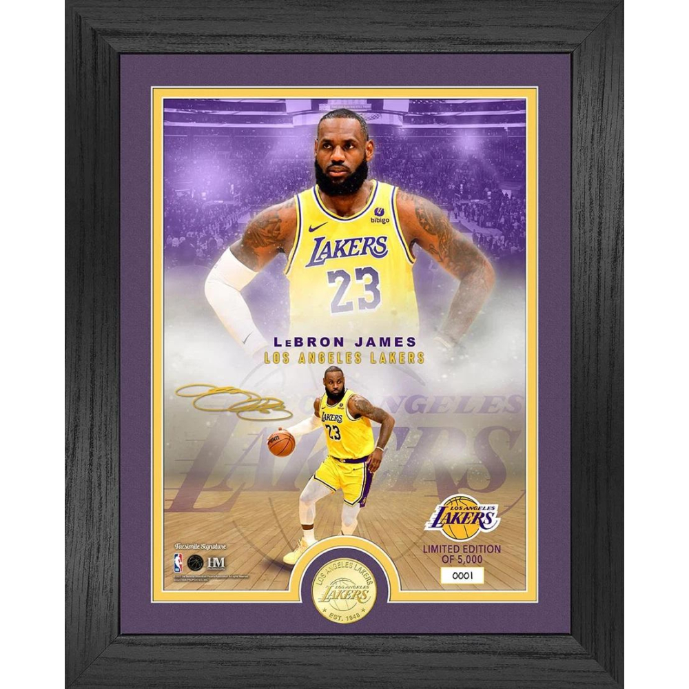 LeBron James LE Lakers Custom Framed Photo with Bronze Coin | Pristine ...