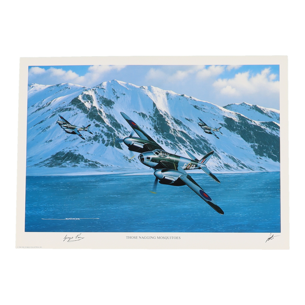 George Parry Signed Stan Stokes "Those Nagging Mosquitoes" Lithograph ...