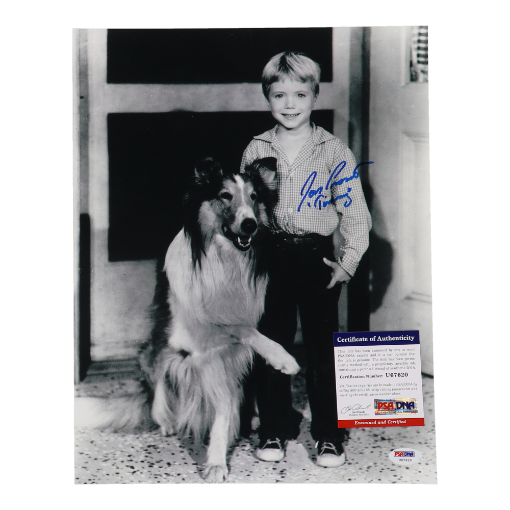Jon Provost Signed "Lassie" 11x14 Photo Inscribed "Timmy" (PSA ...