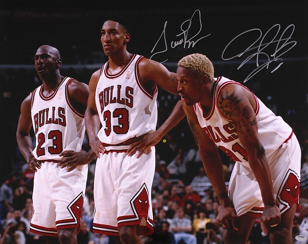 Scottie Pippen & Dennis Rodman Signed Bulls 16x20 Photo with Michael ...