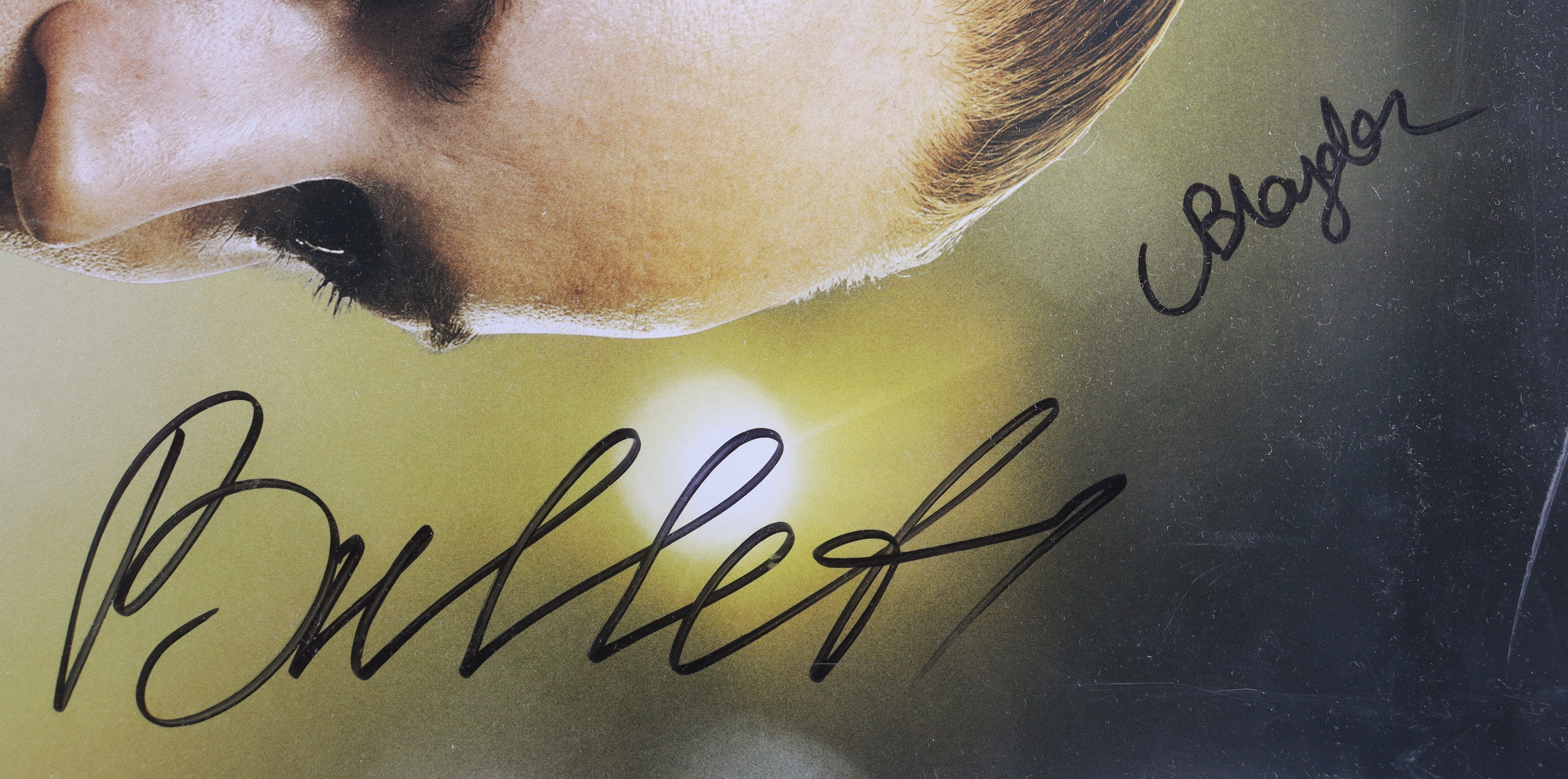 UFC 213 Official Fight Poster Signed by (22) with Amanda Nunes ...