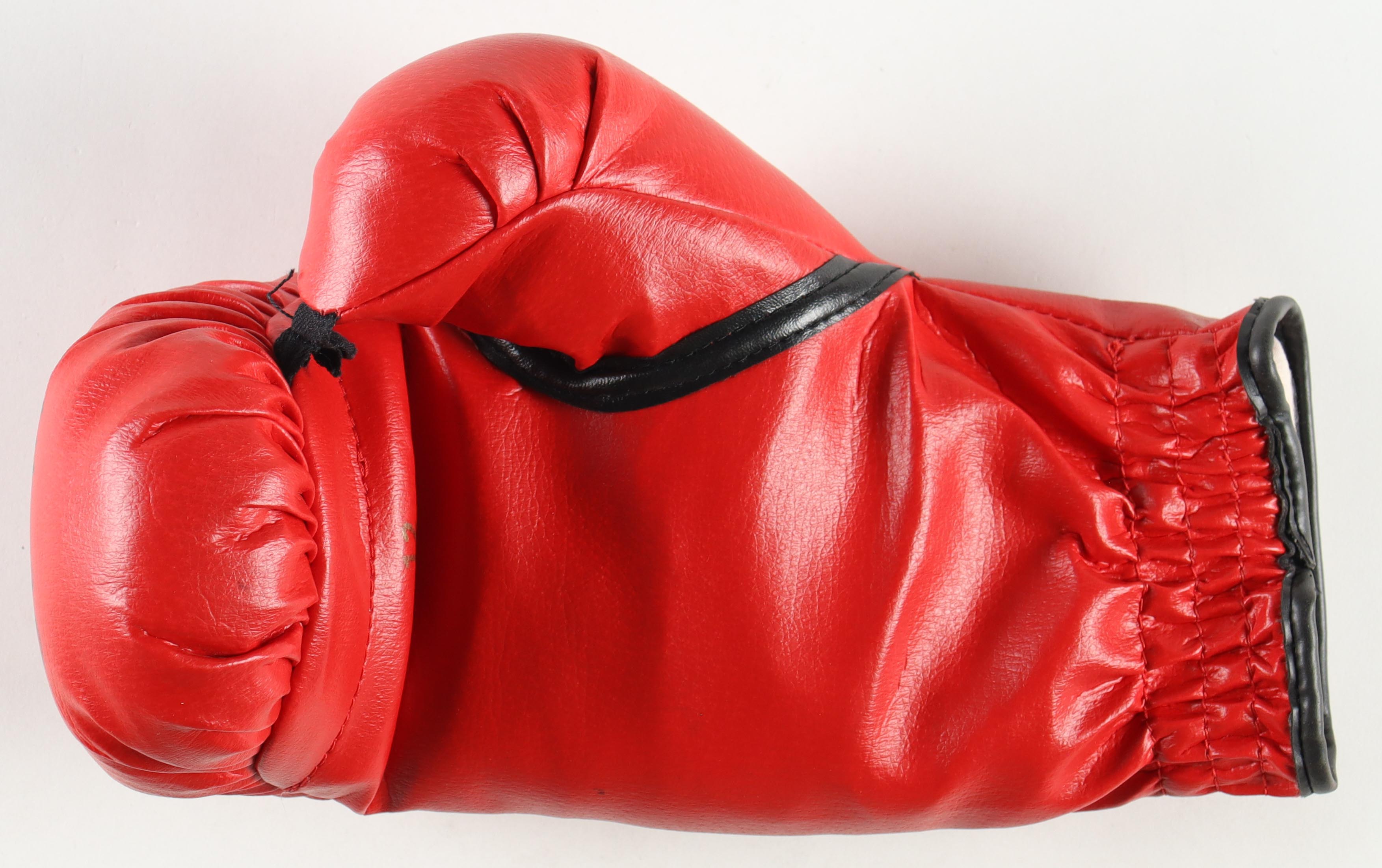 Boxing Greats Red Everlast Boxing Glove Signed by (12) with Ken Norton ...