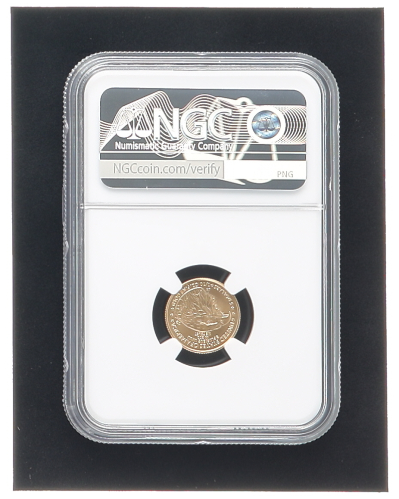 2023 American Gold Eagle $5 Coin (NGCX MS10) | Pristine Auction
