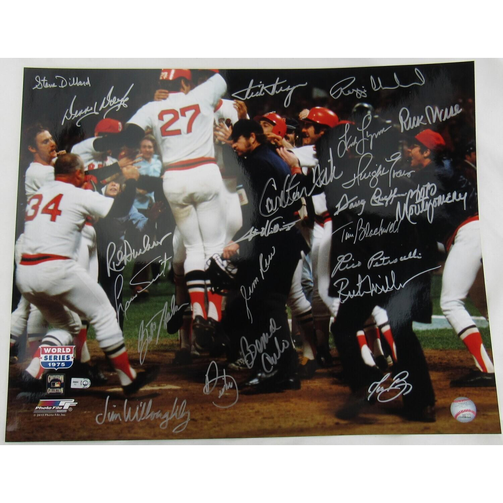 1975 World Series Boston Red Sox 16x20 Photo Signed by (19) with ...