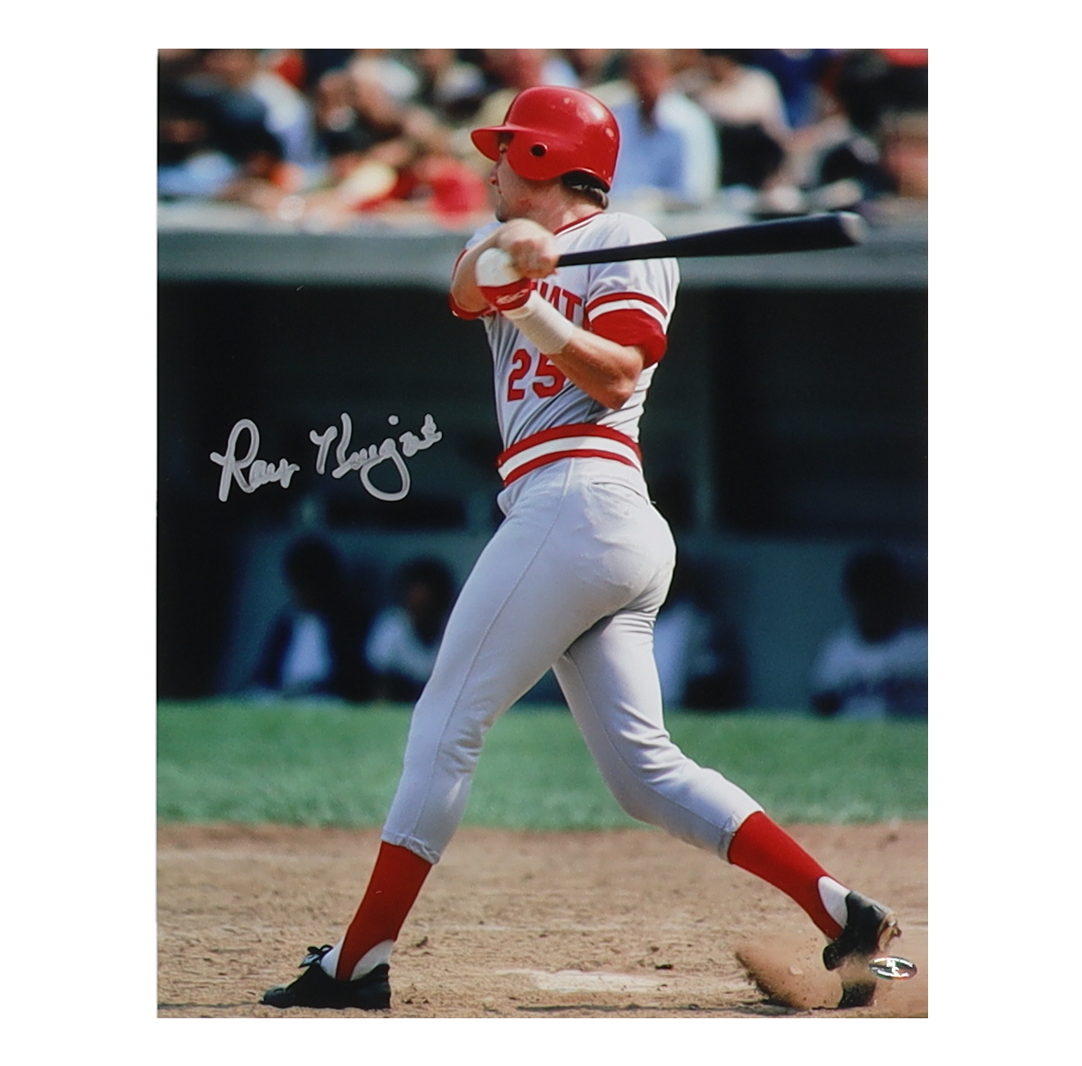 Ray Knight Signed Reds 8x10 Photo (Mead Chasky) | Pristine Auction