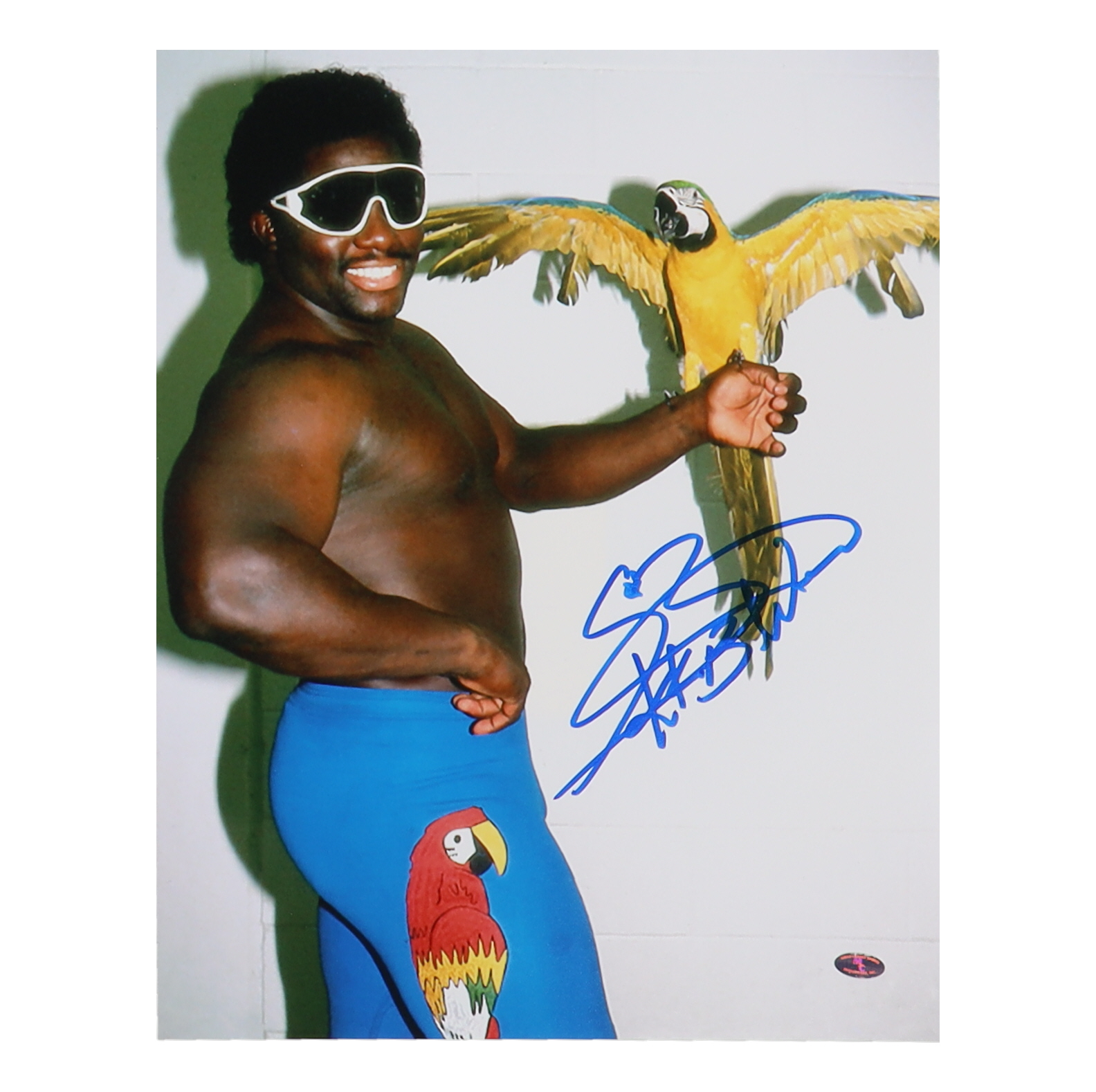 Koko B. Ware Signed WWE 8x10 Photo (Mead Chasky) | Pristine Auction