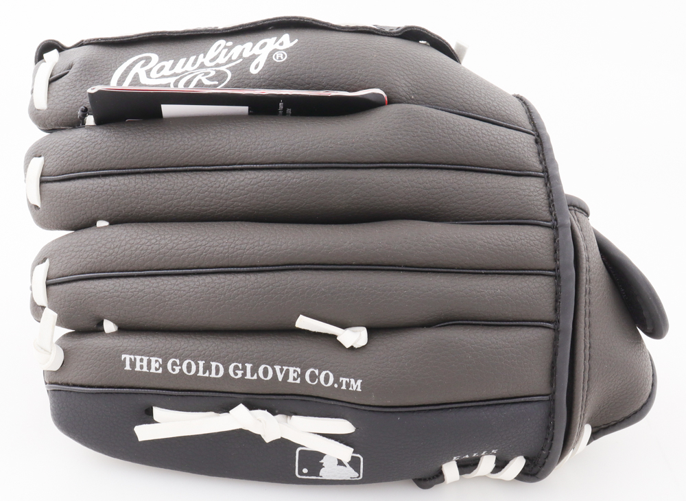 Ferguson Jenkins Signed Rawlings Players Series Baseball Glove (PSA ...