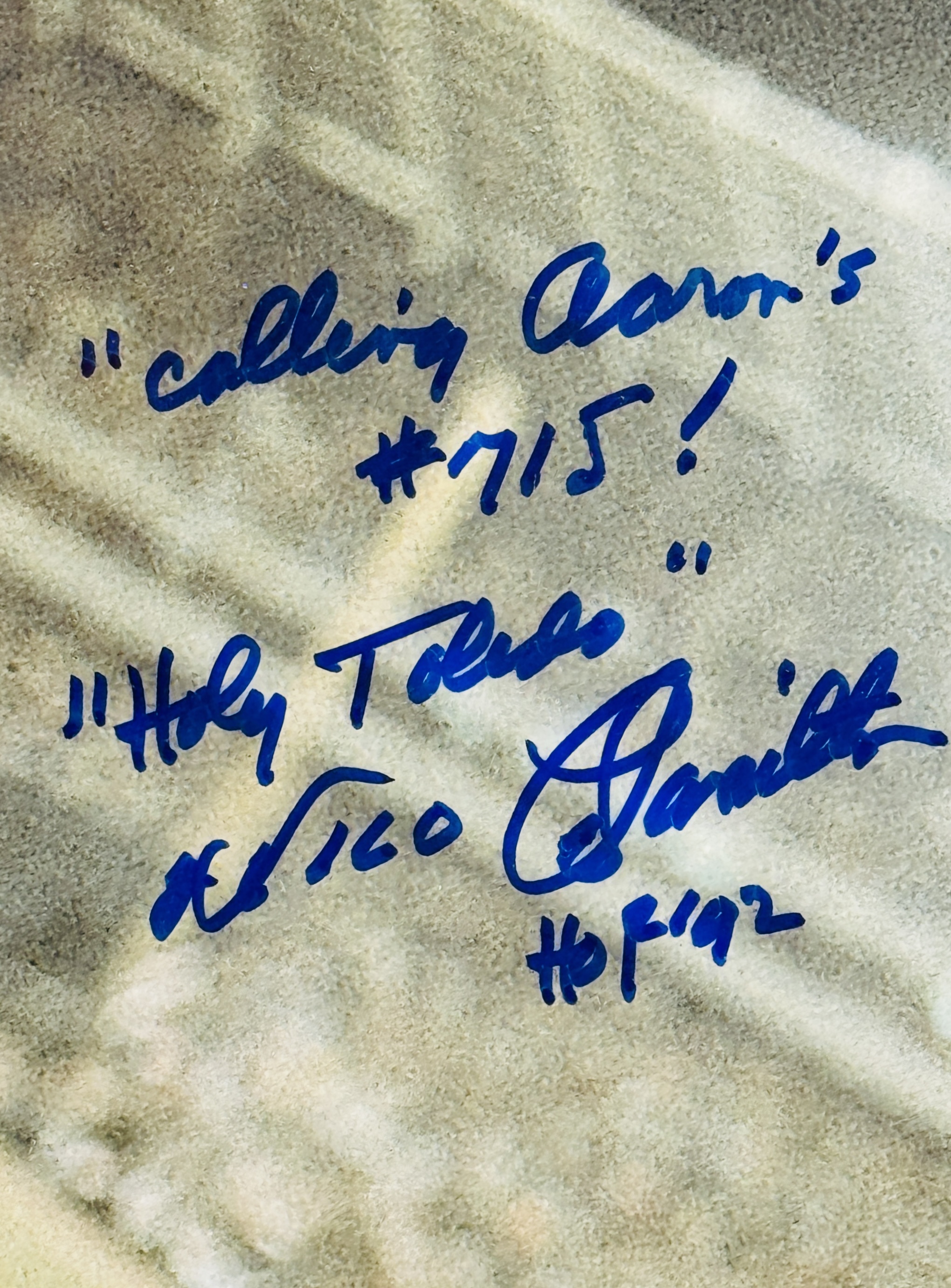 Milo Hamilton and Hank Aaron Signed 28x34 Custom Framed Photo Display ...