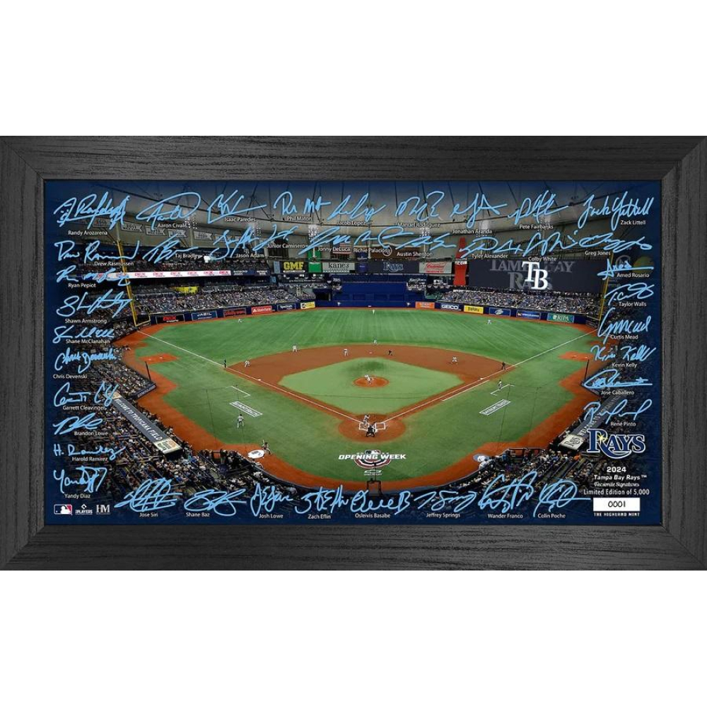 Rays LE 2024 "Signature Field" Custom Framed Photo | Pristine Auction