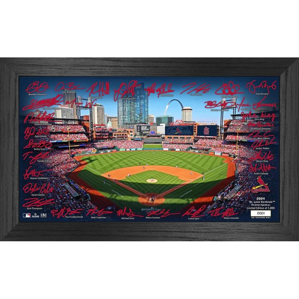 Cardinals LE 2024 "Signature Field" Custom Framed Photo | Pristine Auction