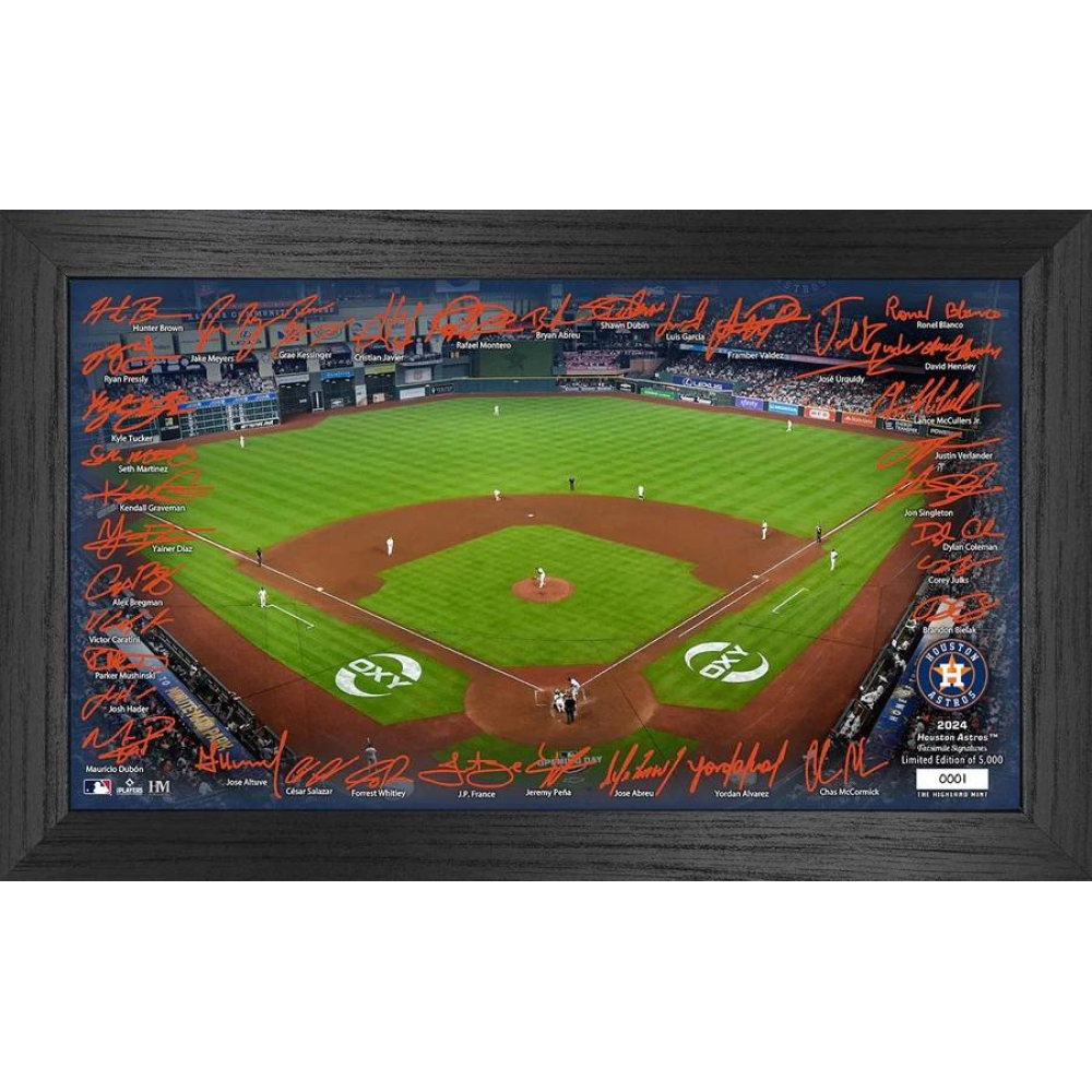 Astros LE 2024 "Signature Field" Custom Framed Photo | Pristine Auction