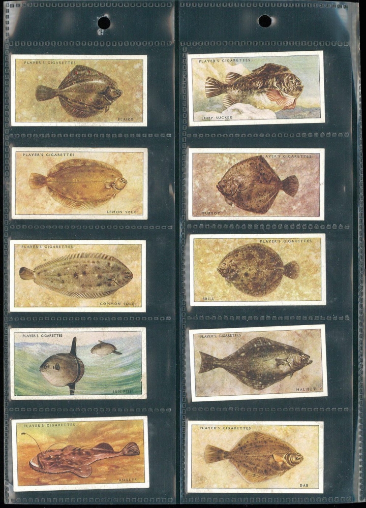 Complete Set of (50) 1935 John Player & Sons Cigarettes Sea Fish Cards ...