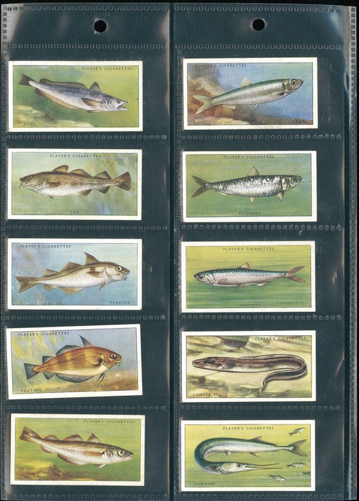 Complete Set of (50) 1935 John Player & Sons Cigarettes Sea Fish Cards ...