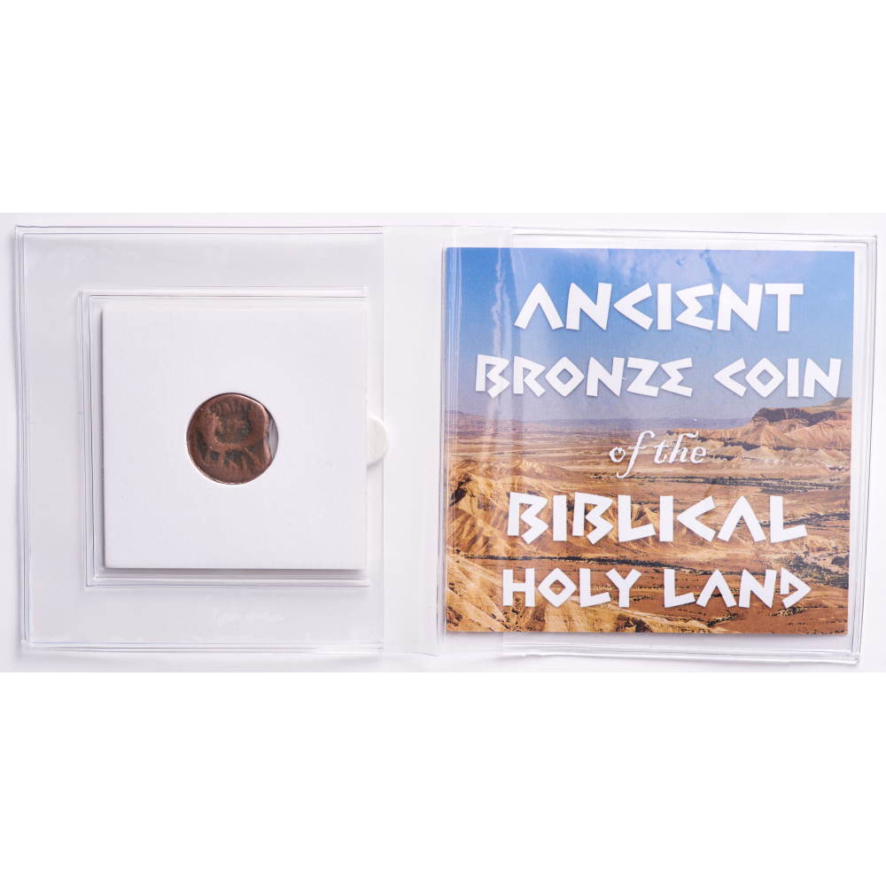 Ancient Bronze Coin of the Biblical Holy Land with Album | Pristine Auction