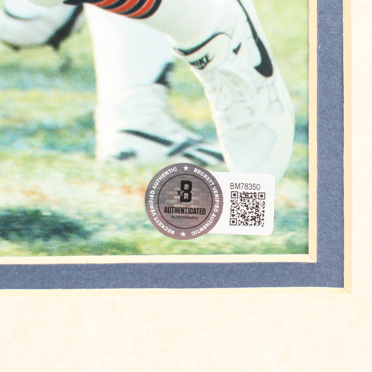 Dan Marino Signed Dolphins Custom Plaque Photo Display with (2) Trading ...