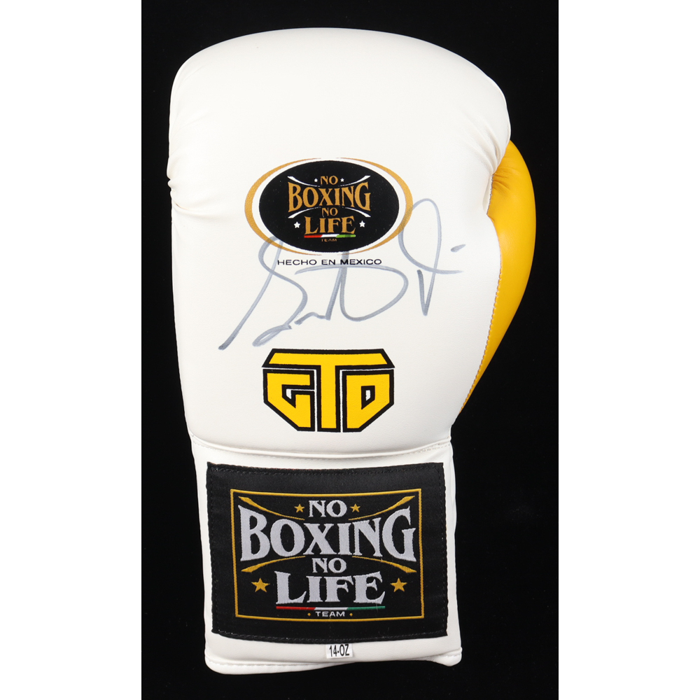 Gervonta Davis Signed No Boxing No Life Team Boxing Glove (Beckett ...