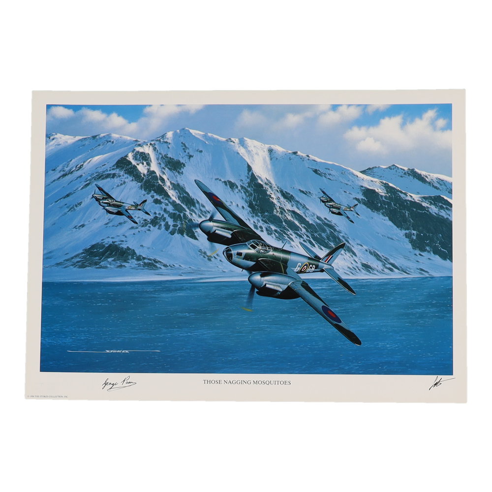 George Parry Signed 'Those Nagging Mosquitoes' 11x16 Lithograph (AIV ...