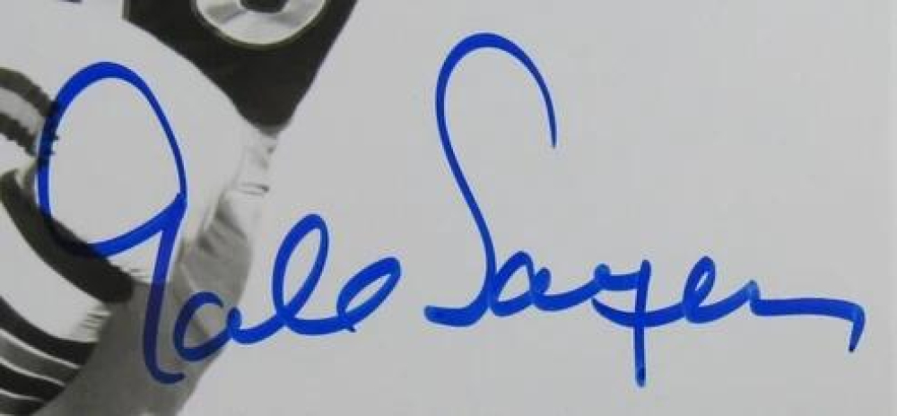 Gale Sayers Signed Bears 8x10 Photo (JSA) | Pristine Auction