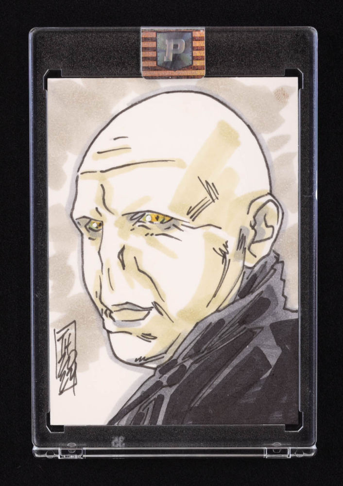 Voldemort | Harry Potter | Original Art Sketch Card by Tom Hodges (1/1 ...
