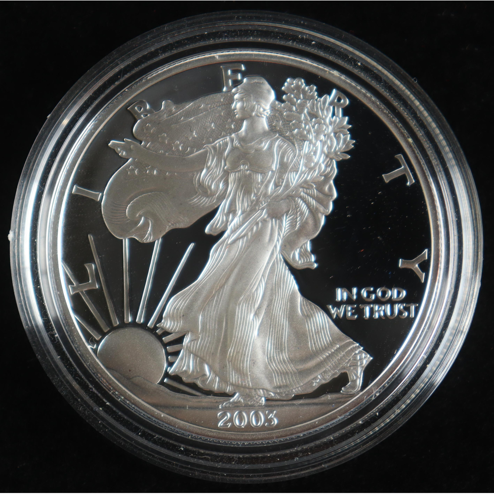 2003-W American Silver Eagle 1 Troy Ounce Proof Fine Silver Bullion ...