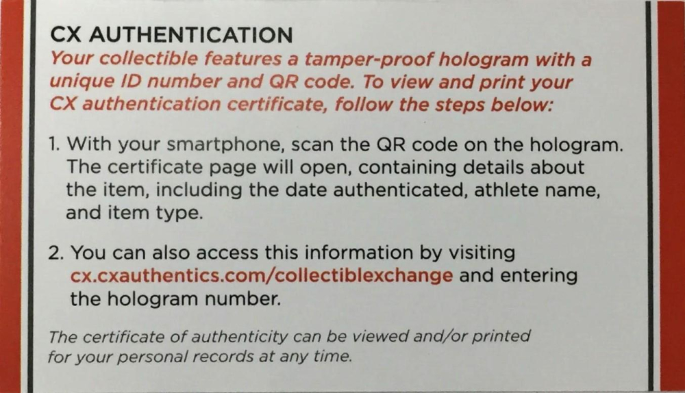 Alex Morgan Signed Team USA 16x20 Photo (CX by Steiner) | Pristine Auction