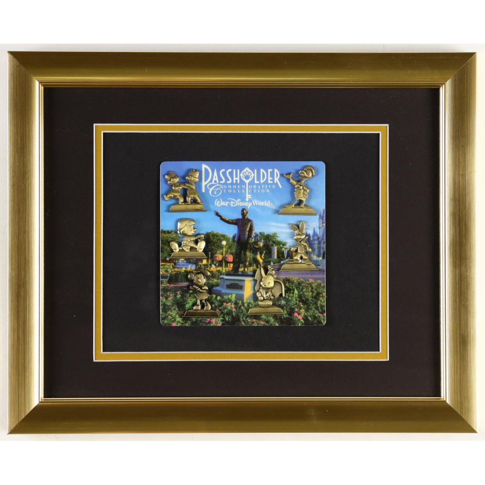 Walt Disney World Custom Framed Vintage Disney World Passholder ...