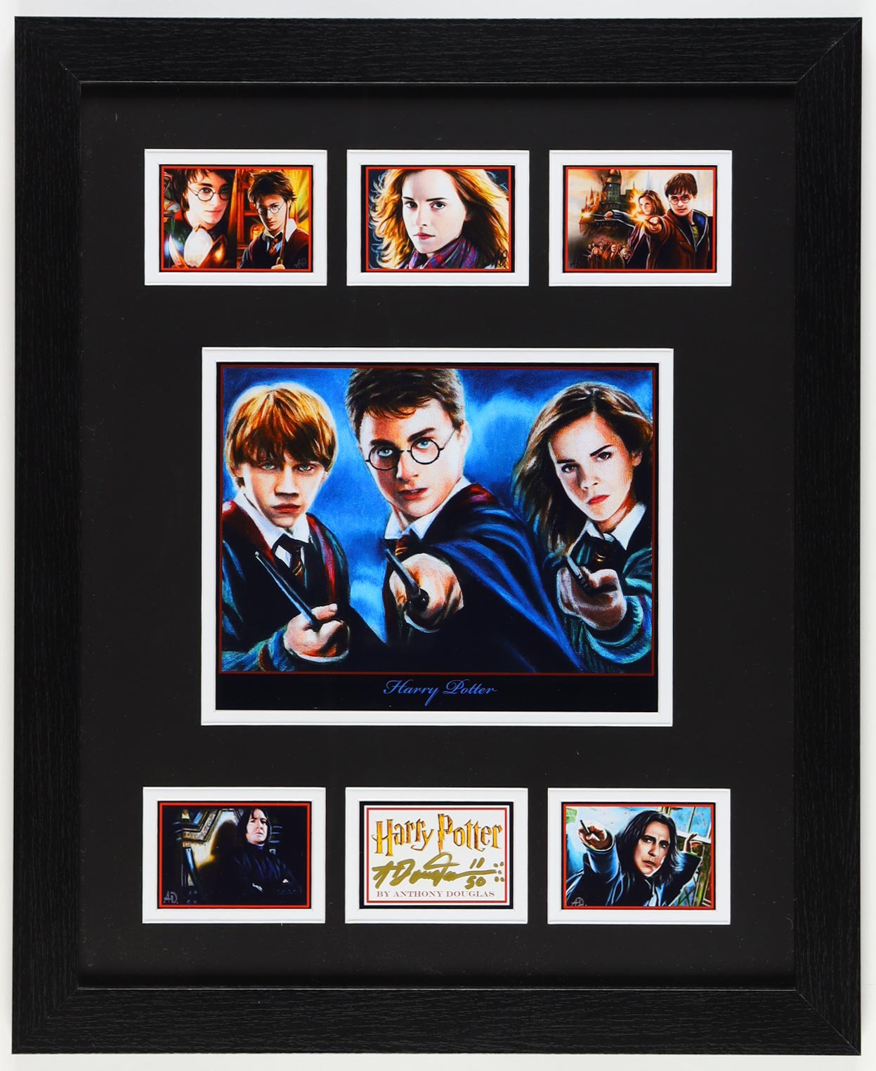 "Harry Potter" LE Custom Framed Lithograph Prints Display By Anthony ...