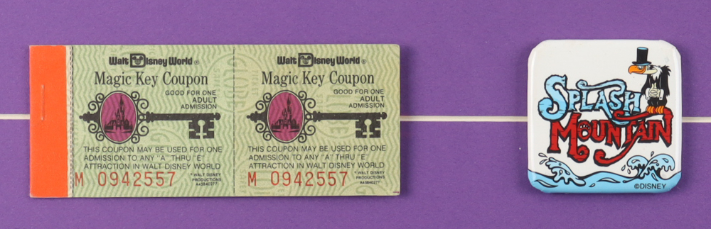 Walt Disney World "Splash Mountain" Custom Framed Print Display With ...