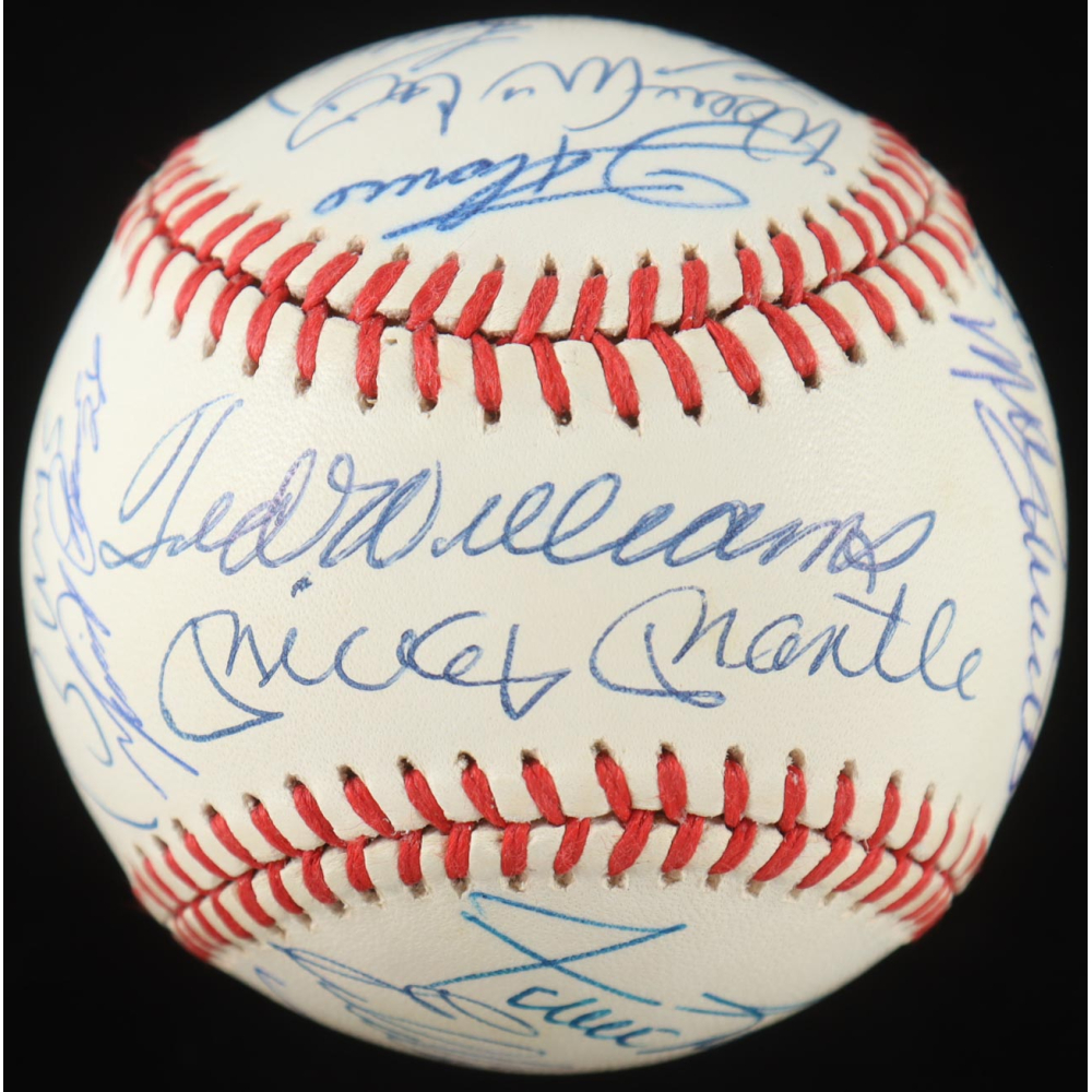 500 Home Run Club ONL Baseball Signed By (21) with Mickey Mantle, Ted ...