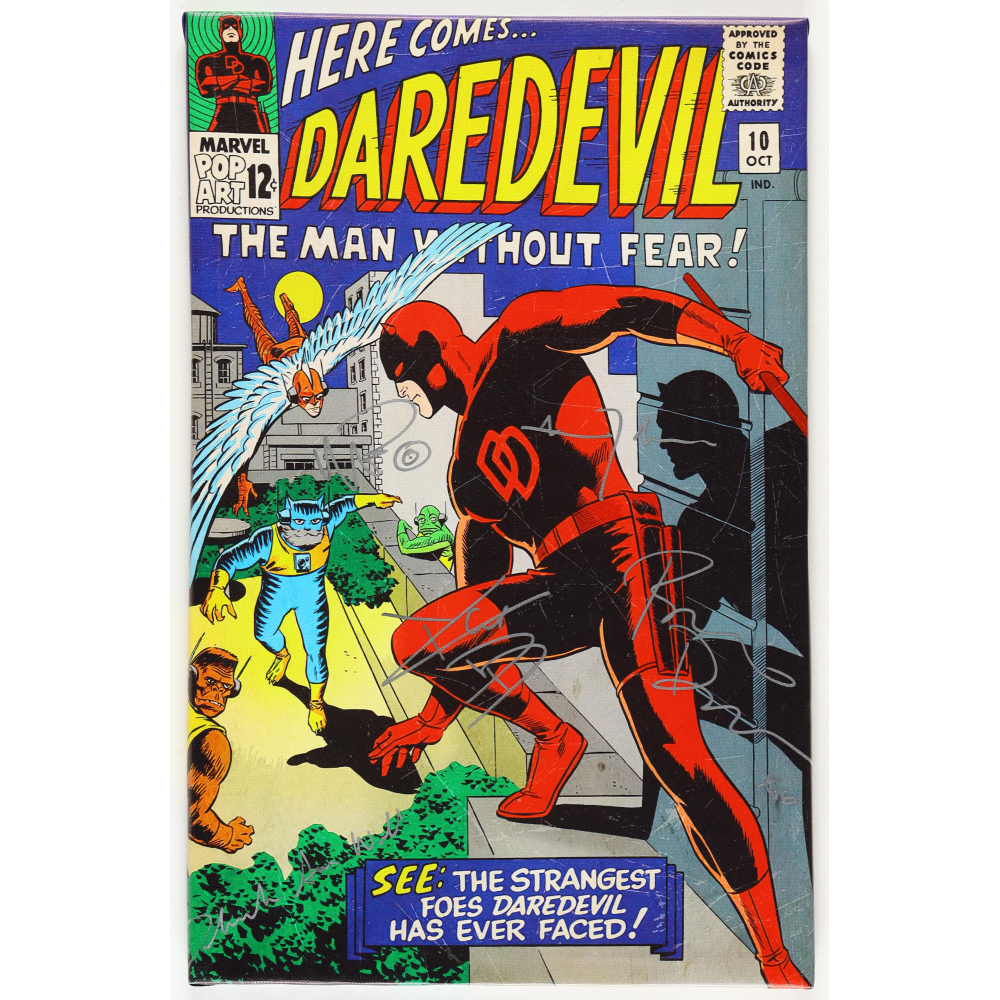 Daredevil 14.5x22.5 Canvas Print Signed by (5) with Charlie Cox ...